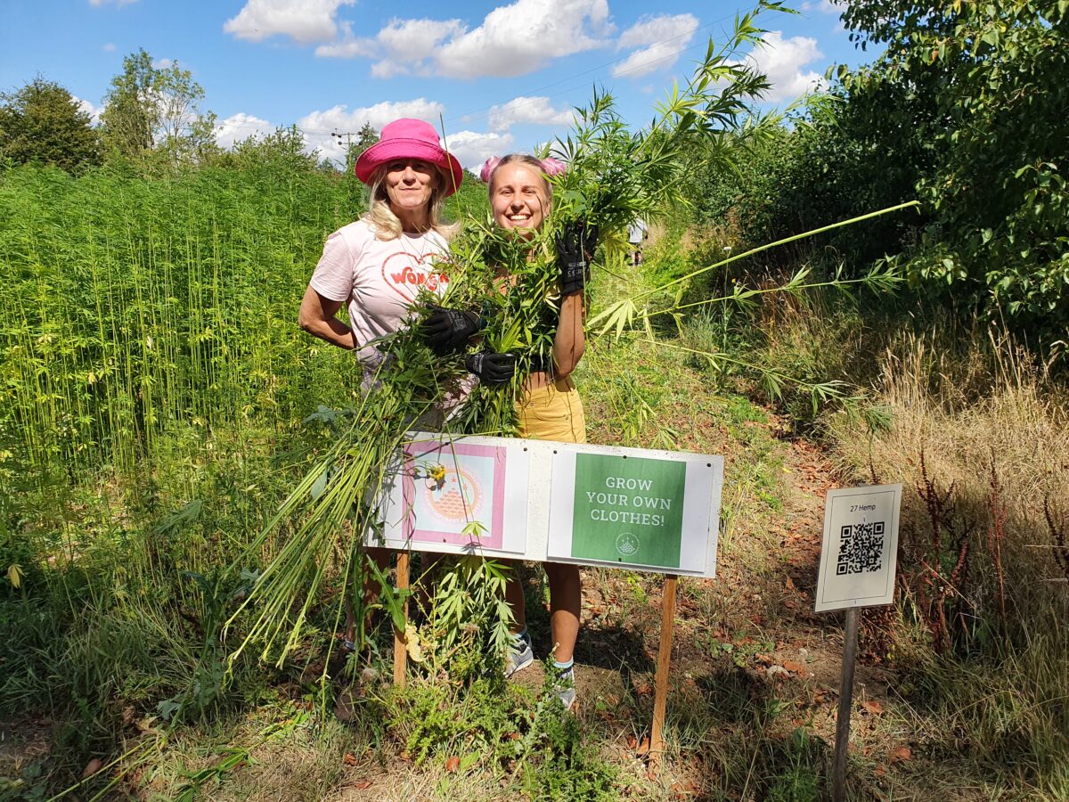 The Contemporary Hempery – Wakelyns