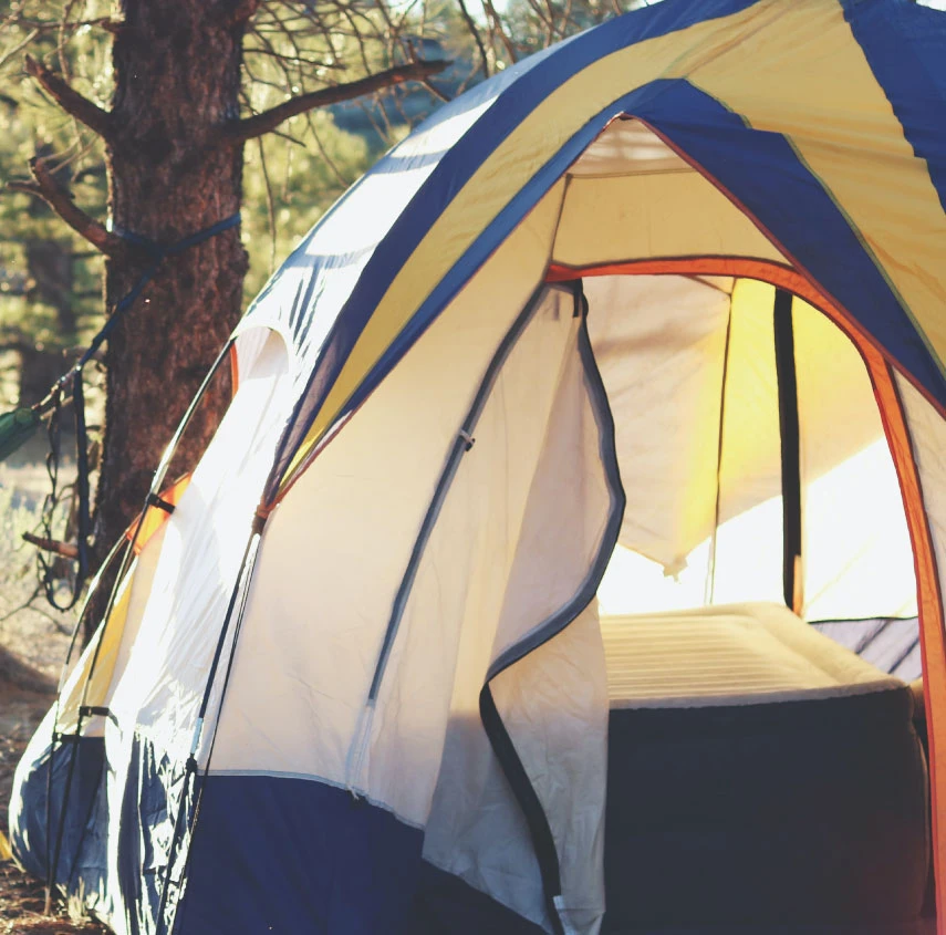 The Contemporary Hempery – Hemp Harvest Retreat 2023 – Wakelyns